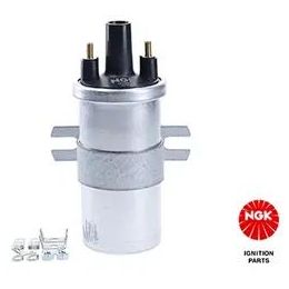 NGK Z&uuml;ndspule 48302 2-polig f&uuml;r SKODA VW SEAT MINI AUDI LAMBORGHINI FORD BENTLEY BMW 1357294 5006103 A710X-12K018-AA