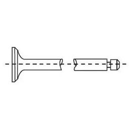 CORTECO Auslassventil 551594B Abgasseitig f&uuml;r CITRO&Euml;N/PEUGEOT 094992