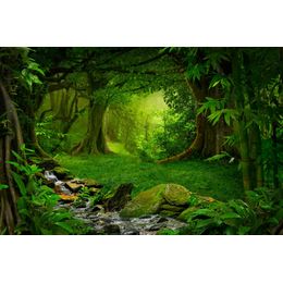 Fototapete papermoon "TROPISCHER WALD-BAUM DSCHUNGEL SONNE WEG PALMEN BACH", bunt, B:4,5m L:2,8m, Vlies, Tapeten