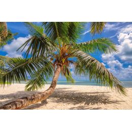 Fototapete papermoon "Palme am Strand", bunt, B:3,5m L:2,6m, Vlies, Tapeten