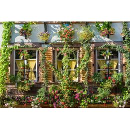 Fototapete papermoon "Haus mit Pflanzen", bunt, B:3,5m L:2,6m, Vlies, Tapeten