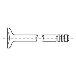 CORTECO Einlassventil 550254B Einlassseite f&uuml;r FORD 81SM6507KF 89SM6507AA
