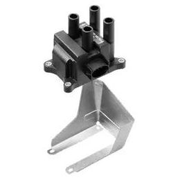 BorgWarner (BERU) Z&uuml;ndspule ZS350 12V f&uuml;r MAZDA FORD VOLVO YF09-18-10X 31359976 YM2F-12029-AD