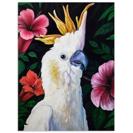 Wandbild Artland "Coco Paradiso", farbe bild(er): schwarz, B:60cm H:80cm, Alu Dibond, Bilder, als Alubild, Leinwandbild, Poster, Wandaufkleber in verschied. Gr&ouml;&szlig;en