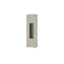 H&ouml;ffner Vitrine Vitreo Neo &brvbar; beige &brvbar; Ma&szlig;e (cm): B: 55 H: 197 T: 40.0 &raquo; H&ouml;ffner