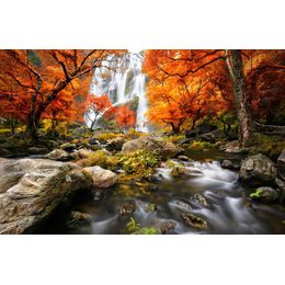 Fototapete papermoon "WASSERFALL-HERBST WALD B&Auml;UME STEINE FLUSS LANDSCHAFT", bunt, B:5m L:2,8m, Vlies, Tapeten