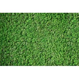 Fototapete ARCHITECTS PAPER "Real Moss", gr&uuml;n, B:4m L:2,7m, Vlies, Tapeten, Vlies, Wand, Schr&auml;ge