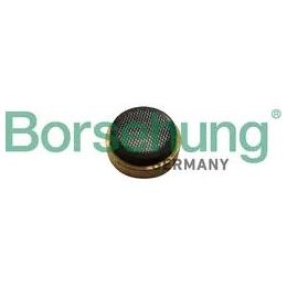 BORSEHUNG Sieb, &Ouml;lpumpensaugrohr B11897 f&uuml;r VAG 06J103081 06H103081E 06H103081K