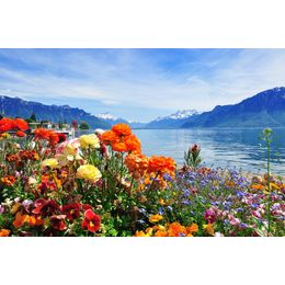 Fototapete papermoon "Bergsee", bunt, B:5m L:2,8m, Vlies, Tapeten