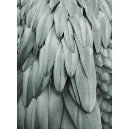 Livingwalls Fototapete LIVING WALLS "ARTist Feathers", gr&uuml;n, B:2m L:2,7m, Vlies, Tapeten, Vlies, Wand, Schr&auml;ge
