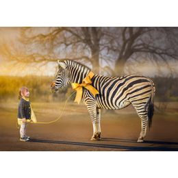 Fototapete papermoon "M&auml;dchen mit Zebra", bunt, B:4m L:2,6m, Vlies, Tapeten