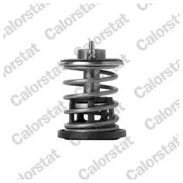 Calorstat by Vernet Thermostat, K&uuml;hlmittel th738288 f&uuml;r BMW
