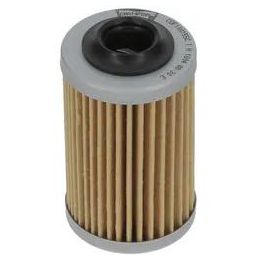 Champion &Ouml;lfilter COF100155C mit Dichtungen 53mm f&uuml;r ALFA ROMEO GENERAL MOTORS FIAT ALFAROME/FIAT/LANCI OPEL 93186310 25177917 71741042