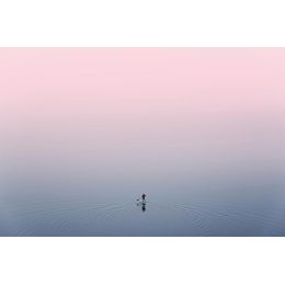 Fototapete papermoon "Ente im Wasser", bunt, B:3,5m L:2,6m, Vlies, Tapeten