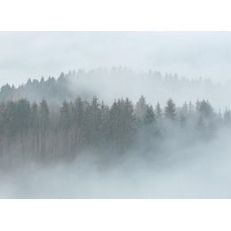 Livingwalls Fototapete LIVING WALLS "Designwalls Misty Forest", bunt (grau, hellblau), B:3,5m L:2,55m, Vlies, Tapeten, Vlies, Wand, Schr&auml;ge, Decke