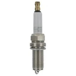 Champion Z&uuml;ndkerze PLATINUM OE219 f&uuml;r VW 101905641 079905626J 079905626L