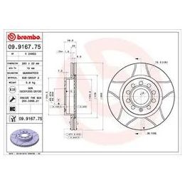 Brembo Bremsensatz-Vorn und hinten SG00000EVR Bremsensatz, Scheibenbremse vorne rechts links innenbel&uuml;ftet 253mm f&uuml;r SKODA VW BRILLIANCE PEUGEOT SEAT