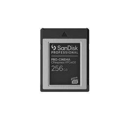 Sandisk PRO-CINEMA Speicherkarte 256 GB