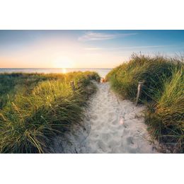 Fototapete Komar "Vlies - Way to the Beach - Gr&ouml;&szlig;e 368 x 248 cm", bunt, B:3,68m L:2,48m, Vlies, Tapeten, Wohnzimmer, Schlafzimmer
