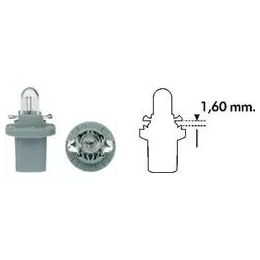MAGNETI MARELLI Gl&uuml;hlampe 003724100000 24V f&uuml;r IVECO TOFAS 009600380000 42536696 93162812