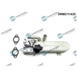 DR.MOTOR AUTOMOTIVE K&uuml;hler, Abgasr&uuml;ckf&uuml;hrung DRM211143C f&uuml;r SKODA VW SEAT AUDI 03G131513J 03G131513D 03G131512L
