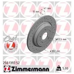 Zimmermann Bremsscheibe 250.1397.52 hinten rechts links Gelocht 302mm f&uuml;r FORD JX61-2A315-BEA LX61-2A315-BNB G1FZ-2C026-A