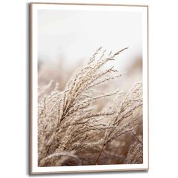Kunstdruck Reinders "Gras", beige (farbe bild(er): beige), B:50cm H:70cm T:1,6cm, MDF, Bilder