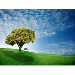 Fototapete papermoon "Goldener Regenbaum", bunt, B:4m L:2,6m, Vlies, Tapeten
