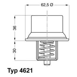 BorgWarner Thermostat, K&uuml;hlmittel 4621.80D mit Dichtung f&uuml;r BMW 11531318274