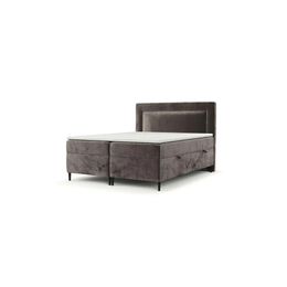 maison de r&ecirc;ve Boxspringbett mit Stauraum &brvbar; braun &brvbar; Ma&szlig;e (cm): B: 162 H: 123 &raquo; H&ouml;ffner