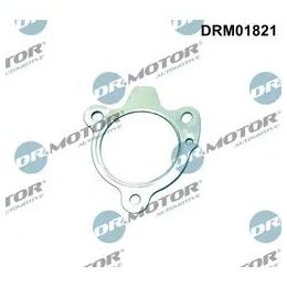 DR.MOTOR AUTOMOTIVE Dichtung, Abgasrohr DRM01821 An Abgasturbolader f&uuml;r RENAULT 208135224R 208A01685R