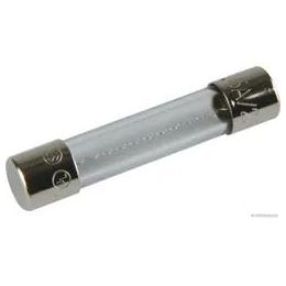 Herth+Buss ELPARTS Sicherung 50295150 &Oslash;6,3mm 6,3mm f&uuml;r MERCEDES-BENZ Q6810299 6810299