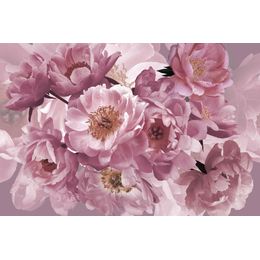 Fototapete papermoon "BLUMEN ABSTRAKT-MUSTER DESIGN ROSEN BLUMEN DECOR RETRO", bunt, B:5m L:2,8m, Vlies, Tapeten