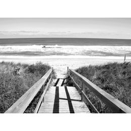 Fototapete papermoon "Strand Schwarz & Wei&szlig;", schwarz (schwarz, wei&szlig;), B:5m L:2,8m, Vlies, Tapeten