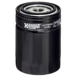 HENGST FILTER Luftfilter, Kompressor-Ansaugluft H17W09 Universal 94mm f&uuml;r RENAULT TRUCKS GENERAL MOTORS 0003132302 6436383 6437968