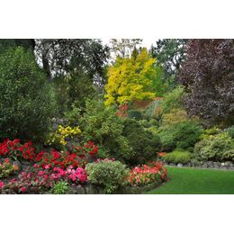Fototapete papermoon "Fluss in Garten", bunt, B:4m L:2,6m, Vlies, Tapeten