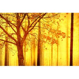 Fototapete ARCHITECTS PAPER "Atelier 47 Edge 2", bunt (orange, sonnengelb, dunkelbraun), B:4m L:2,7m, Vlies, Tapeten, Wald Fototapete Edge 4,00 m x 2,70 m 200 g Vlies Premium Tapete Natur