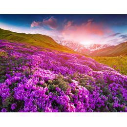 Fototapete papermoon "Berge Blumen", bunt, B:4m L:2,6m, Vlies, Tapeten