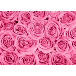 Fototapete papermoon "Pink Roses", bunt, B:3,5m L:2,6m, Vlies, Tapeten