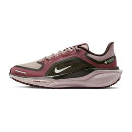 Nike Pegasus 41 GTX Damen