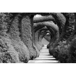 Fototapete papermoon "Treppe Schwarz & Wei&szlig;", schwarz (schwarz, wei&szlig;), B:3,5m L:2,6m, Vlies, Tapeten