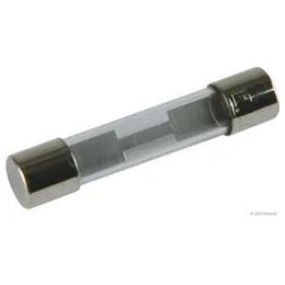 Herth+Buss ELPARTS Sicherung 50295153 &Oslash;6,3mm 6,3mm f&uuml;r MERCEDES-BENZ Q6810303 6810303