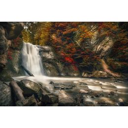 Fototapete papermoon "WASSERFALL-HERBST WALD MEER FLUSS INSEL STEINE B&Auml;UME", bunt, B:5m L:2,8m, Vlies, Tapeten