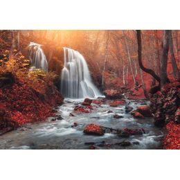 Fototapete papermoon "Wasserfall im Wald", bunt, B:5m L:2,8m, Vlies, Tapeten