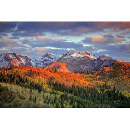 Fototapete papermoon "GEBIRGE-HERBST NATUR ALPEN LANDSCHAFT WALD B&Auml;UME BERGE", bunt, B:4m L:2,6m, Vlies, Tapeten