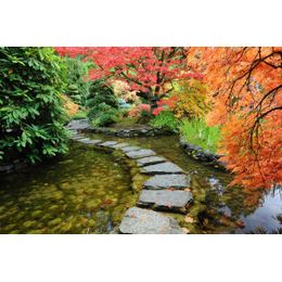 Fototapete papermoon "GARTEN-B&Auml;UME BLUMEN PFLANZEN PARK STEINE WALD BL&Uuml;TEN", bunt, B:4m L:2,6m, Vlies, Tapeten