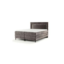 maison de r&ecirc;ve Boxspringbett Madame &brvbar; braun &brvbar; Ma&szlig;e (cm): B: 202 H: 123 &raquo; H&ouml;ffner