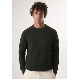 Rundhalspullover FELIX HARDY "Basic-Pullover mit Rundhalsausschnitt", Herren, Gr. M, gr&uuml;n, 100% Baumwolle, Pullover Rundhalspullover