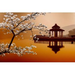 Fototapete papermoon "Japanischer See", bunt, B:5m L:2,8m, Vlies, Tapeten