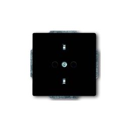 BUSCH-JAEGER Steckdose 20 EUCKS-81 (2CKA002013A5265)